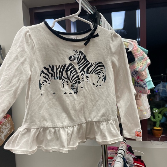 Gymboree | Shirts & Tops | Gymboree Eric Carle Zebra Long Sleeve Shirt ...